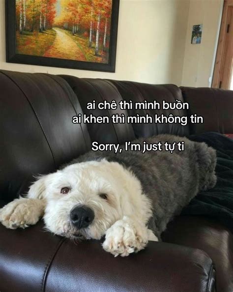 𝒎𝒚 𝒎𝒊𝒏𝒅 Nhd Nbb S Videos With Original Sound Jzsnoopyedits Tiktok