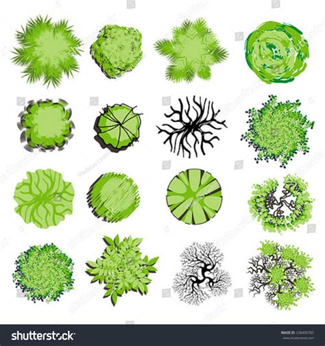 Trees And Bush Item Top View For Landscape Design Vector Icon