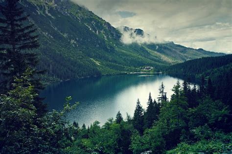 Wallpaper Изображения – скачать бесплатно на Freepik
