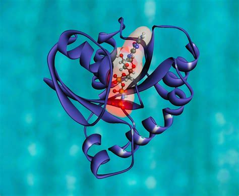 The First Non Intrusive Flow Sensing Technology For Microfluidics