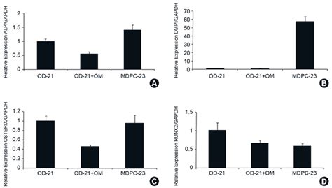 Real Time Pcr Gene Expression Of Alp A Dmp1b Osterix C And