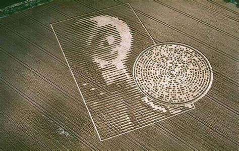 The Crop Circle Code Nexus Newsfeed