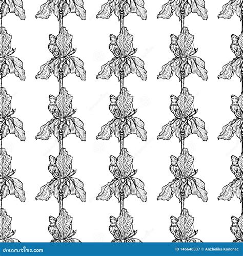 Iris Vertical Border Cartoon Vector 47368887