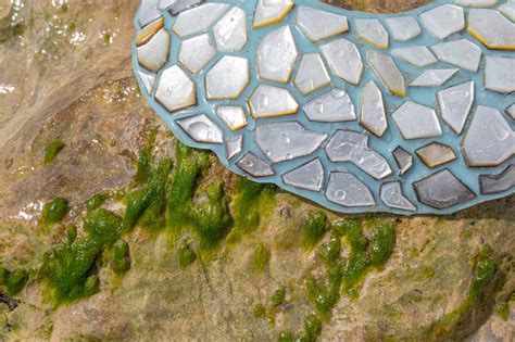 Biodesign Meets Pacific Islander Craft In Glowing Lucid Life Objects