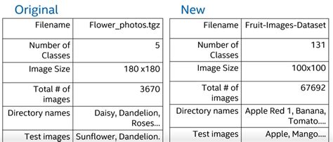 Bring Your Own Dataset And Retrain A Tensorflow Model With Openvino