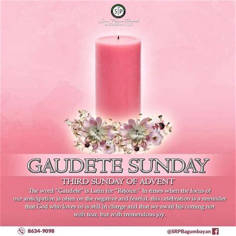 This Sunday Is The Australian Catholics Page