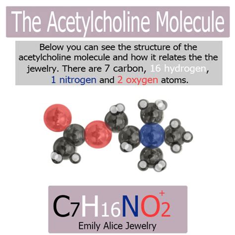 Acetylcholine Learning And Dreaming Molecule Necklace Etsy Uk