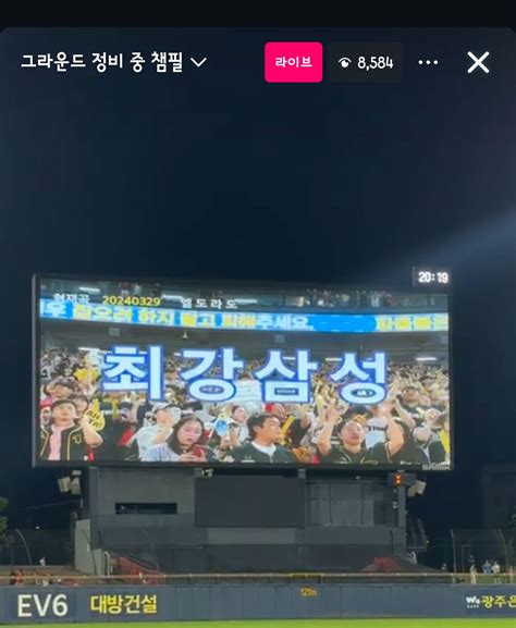 비 오는 날 올스타전에는 평화로운 사람들 야구 에펨코리아