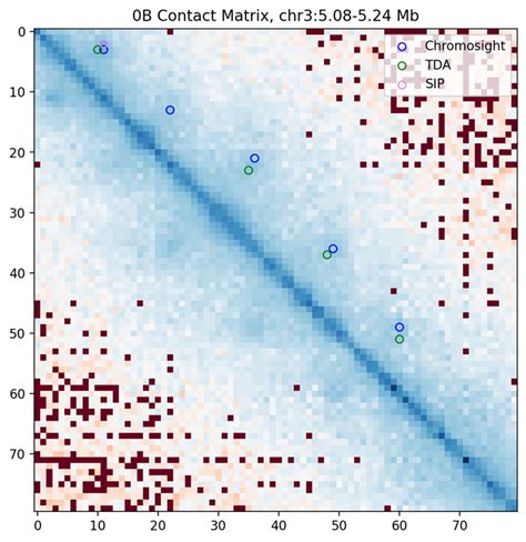 skoltech 3d genome topological analysis of 3d chromatin structure