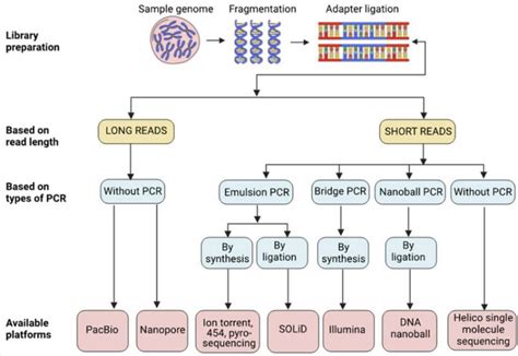 What Is Next Generation Sequencing