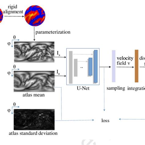 Overview Of Registration Accuracy And Cpu Run Time For Rigid Alignment Download Scientific