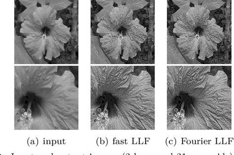 Figure 3 From Gaussian Fourier Pyramid For Local Laplacian Filter