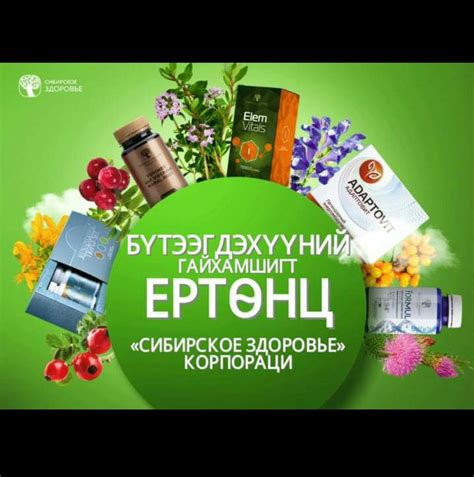Сибирийн Эрүүл мэнд Гоо сайхан