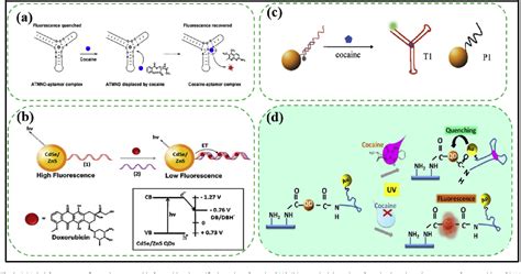 Figure 2 From Nanomaterial Based Aptamer Sensors For Analysis Of