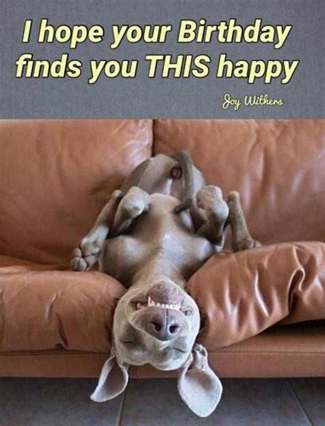 100 Funny Happy Birthday Quotes Wishes For Best Friends Artofit