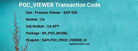 poc viewer sap tcode for process viewer sap gui
