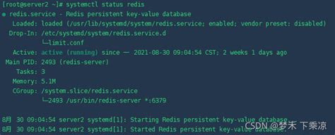 yum安装redis yum install redis csdn博客