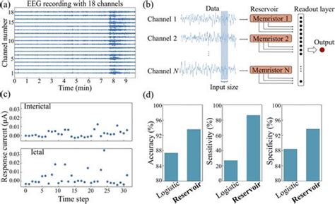 Seizure Detection Using Dynamic Memristor Based Reservoir Computing And