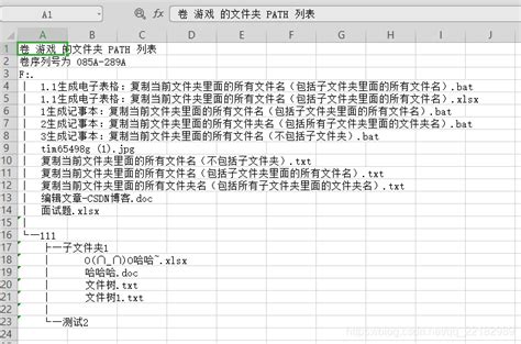 如何批量快速提取复制文件夹里所有文件夹名和文件名（包括所有子文件里的所有文件夹名和文件名）详细步骤 提文件夹及子文件夹名 csdn博客