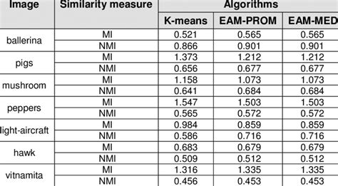 obtained values of mi and nmi criterions download table