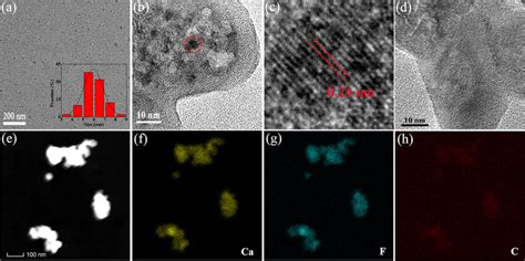 A Tem Image And Size Distribution Histogram Inset Of Cds B C
