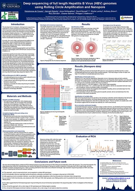 Deep Sequencing Of Full Length Hepatitis B Virus Hbv Genomes Using Rolling Circle