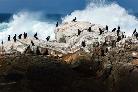 Day Tour From Santiago Hike Puquen Bio Park And Cachagua