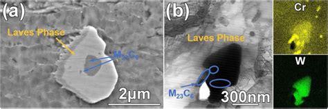 Sem Image A And Tem Image B Of Bulk Laves Phase With M23c6 Carbides