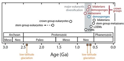 Proterozoic Climate