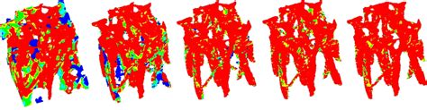 remodeling simulation bone sample under compression download