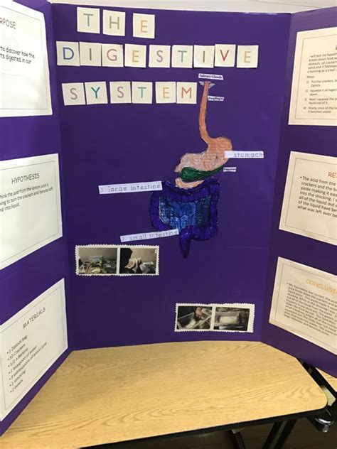 Aaron School Science Fair