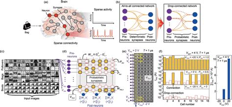 The Drop‐connected Neural Network A A Schematic Diagram Of The Download Scientific Diagram