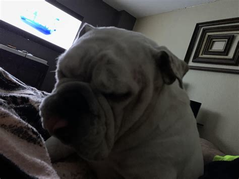 Rise And Shine Scrolller