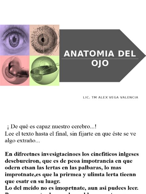 Clase Anatomia Del Ojo Pdf Percepción Visual Ojo Humano