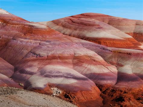 Global Agency Of Geosciences Experts