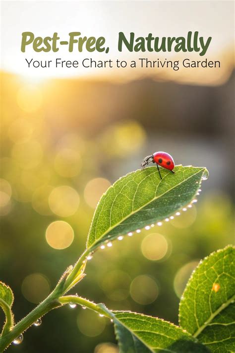 10 Best Non Toxic Bathroom Cleaner Safe Options In 2025