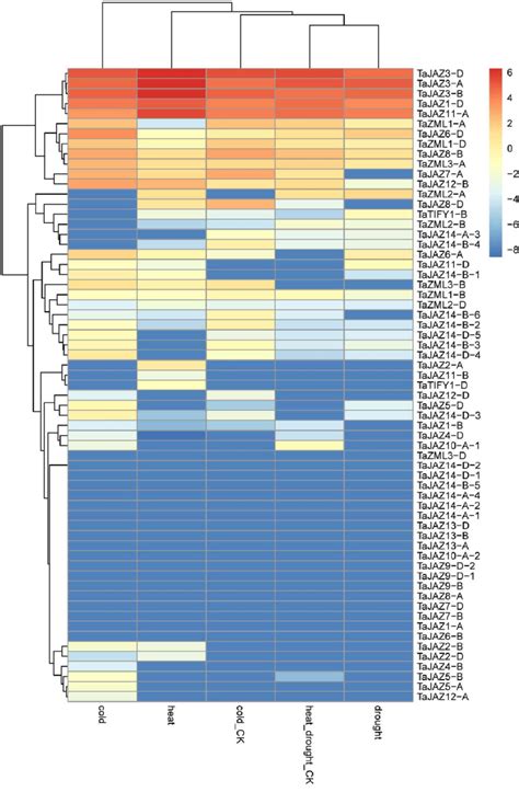 hierarchical clustering of expression profiles for tatify genes under