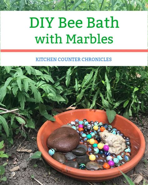 How To Keep Bees Out Of Bird Bath At Alannah Macquarie Blog