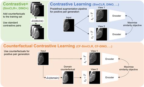 논문 리뷰 Robust image representations with counterfactual contrastive learning