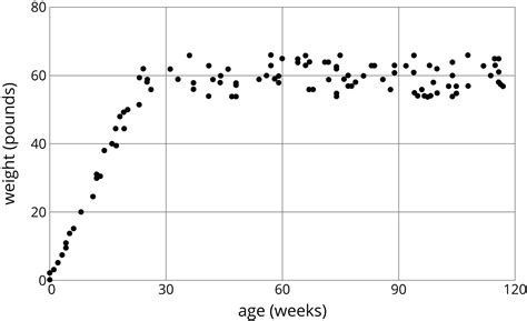 No Association Scatter Plot Westmatter No Association Scatter Plot Westmatter