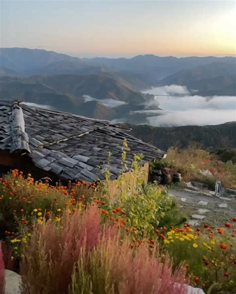 캠핑에 진심ㅣ캠핑위듀 묶는거 초간단 푸는것도 초간단 자충매트나 이불같은 것들을 묶어둘때 좋고요 폴대같이 길다란 짐들을 묶어둘때도 좋아요 쉬게 풀리지 않으면서 너무도