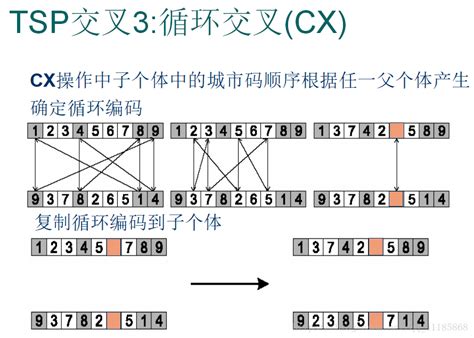 Algorithm之op：op之ga遗传算法思路理解相关配图资料op算法 Csdn博客