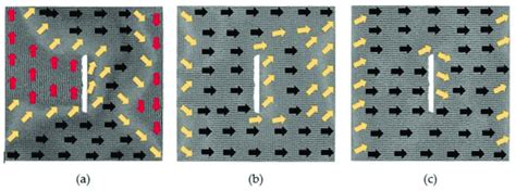 Evolution Diagrams Of Magnetization Configuration Of Model With 2 × 60