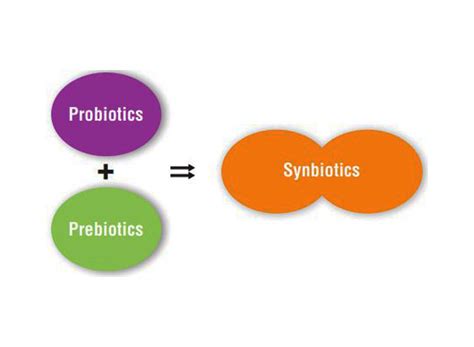 Synbiotics Trong Nuôi Tôm