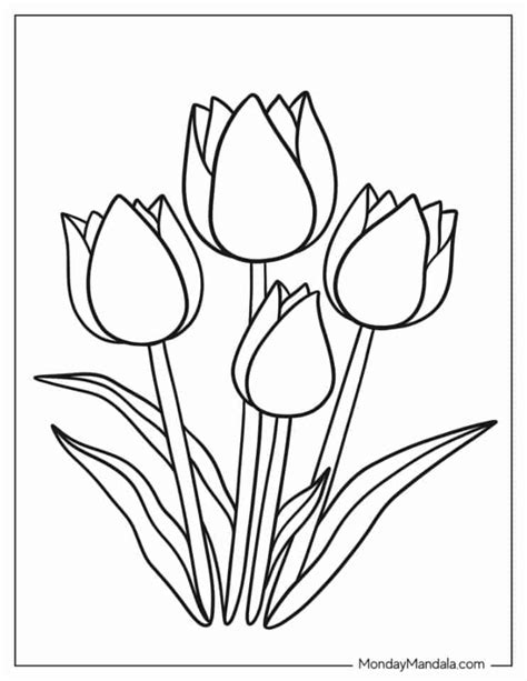 Tulip Coloring Pages Free At Holly Brough Blog