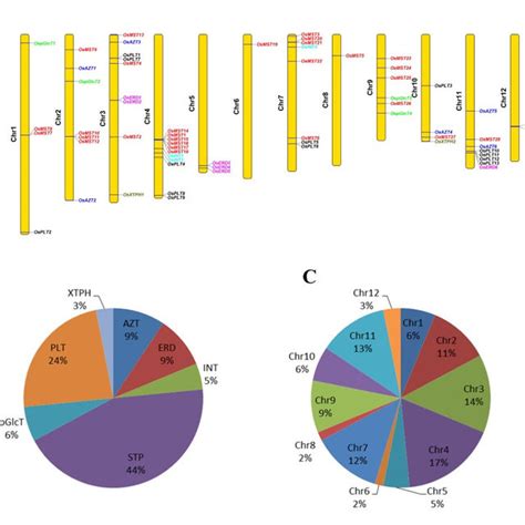 Ka Ks And Kaks Values For Duplication Gene Pairs In Rice Download