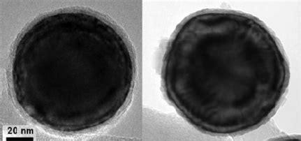 Images Of A Single Particle Before On The Left And After On The Download Scientific Diagram