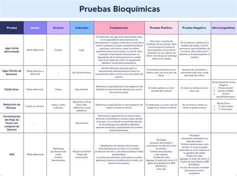 Pruebas Bioquímicas Agars Y Métodos De Identificación Bacteriana Studocu