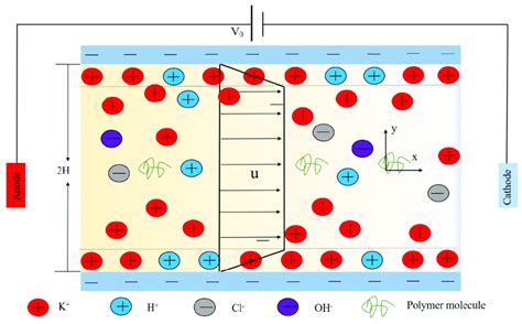 Schematic Diagram Of Viscoelastic Fluid Electroosmotic Flow Eof