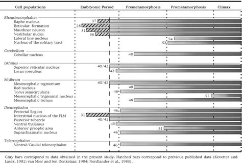 Summary Of The Time Of Onset Of Descending Supraspinal Pathways In